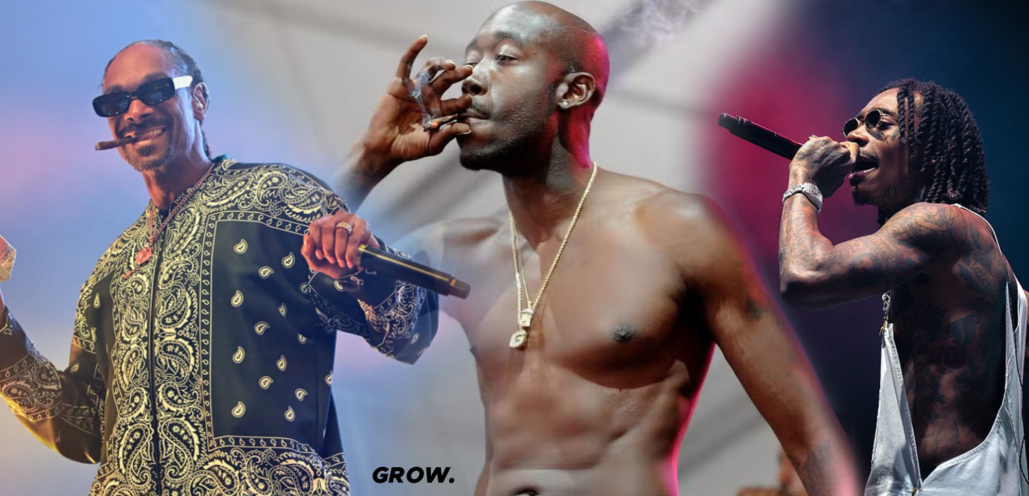 STONESONG Blog vol.3 Indica Music ☘️ Blog - Grow Seed